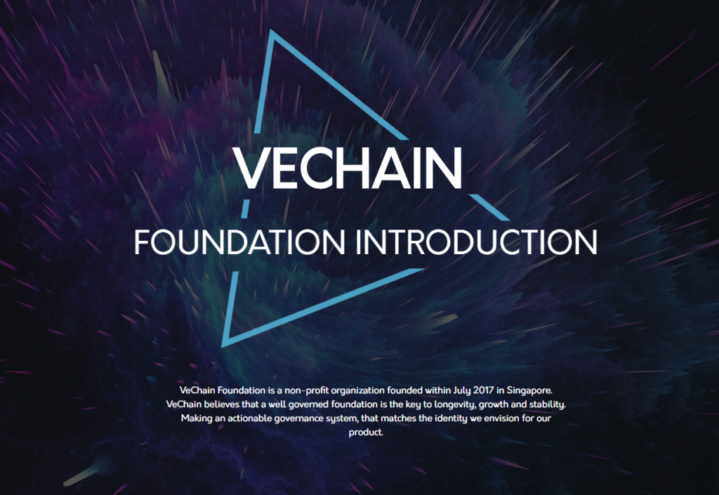 VeChain, 독일의 BMW와 파트너쉽 체결 - 로아AI