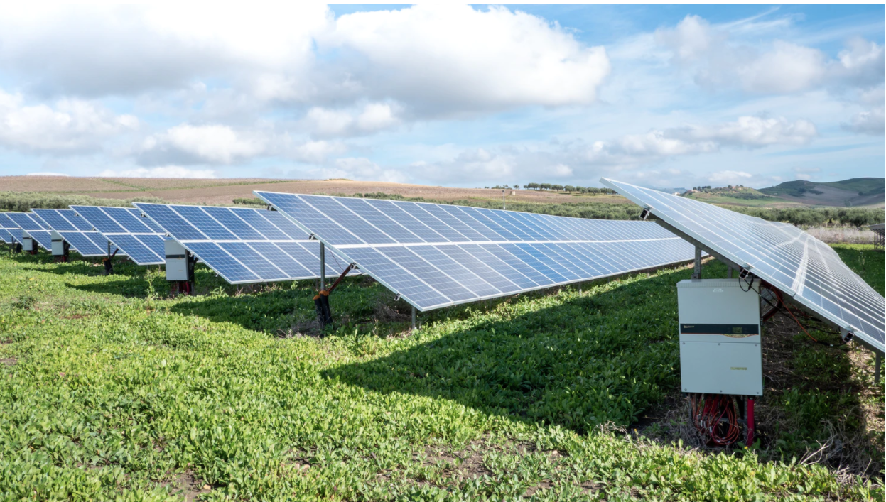 친환경 트렌드 파헤치기 - 1. 친환경 트렌드의 급부상 - 로아AI